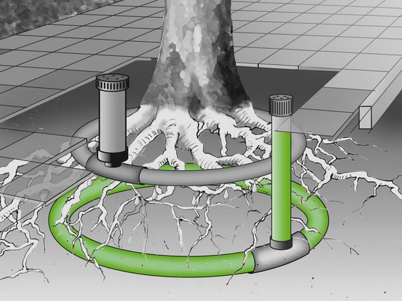 AirMax | Greenmax Aeration system for trees