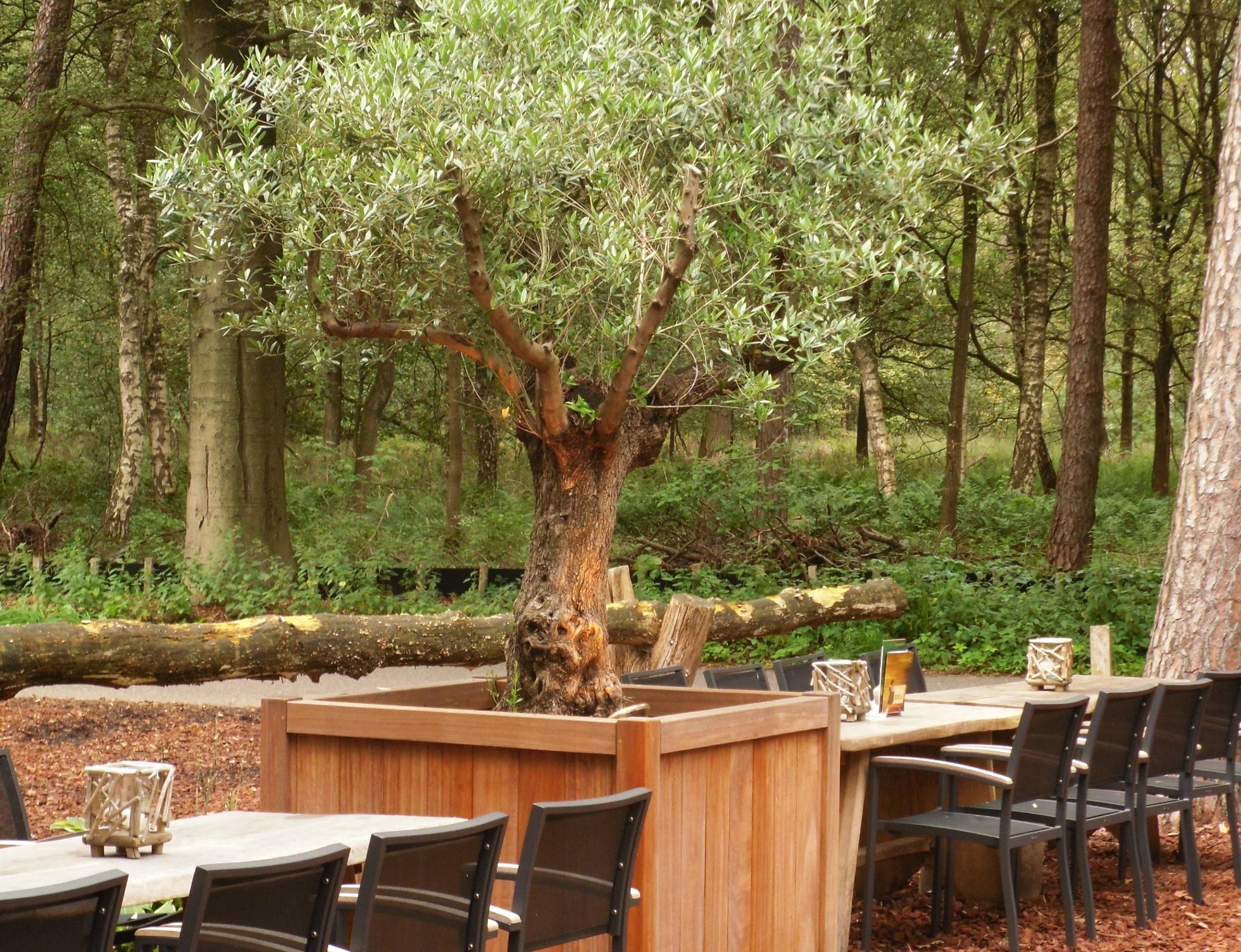 Planters for outdoor & indoor | GreenMax green solutions