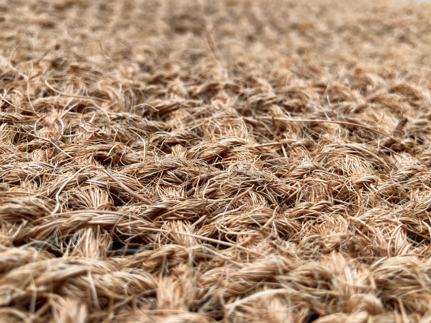 Coconut trunk protector for young trees | GreenMax