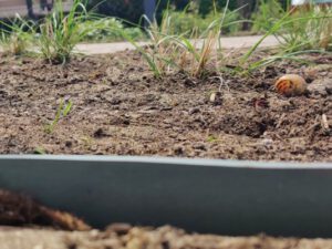 RootBlock | Greenmax Root Protection