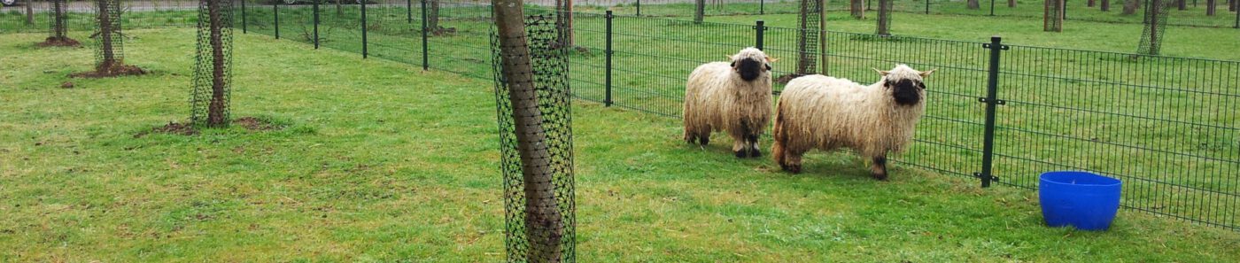 Trunk protection | Greenmax solutions for tree protection