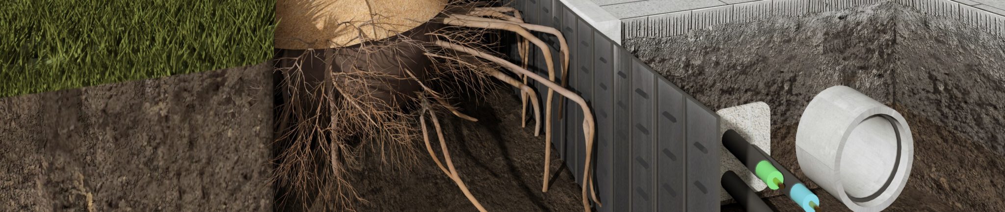 Root protection and guidance | GreenMax green solutions