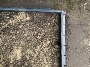 Tree Root Guide | GreenMax green solutions