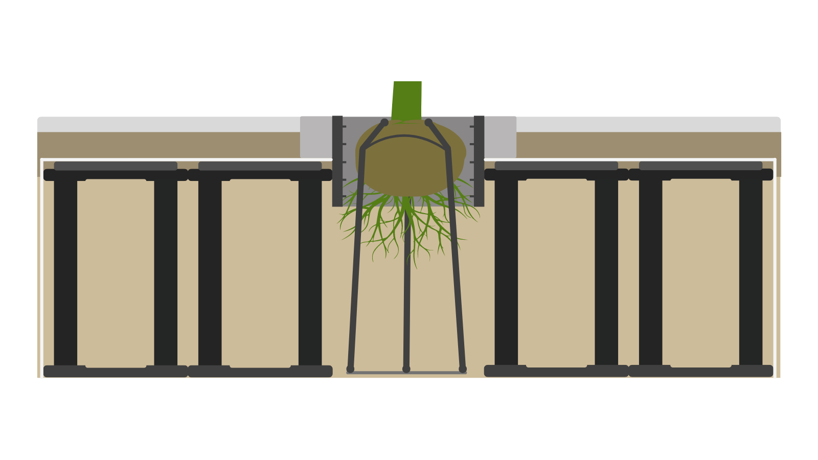 Tree Pit Design | GreenMax solutions