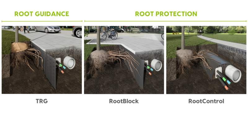 Root protection or root guidance? | GreenMax