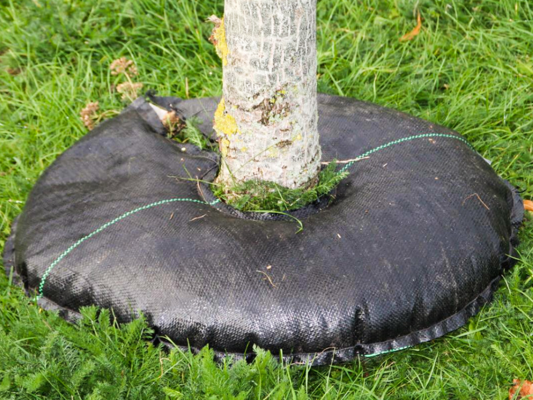 TreeDiaper – GreenMax