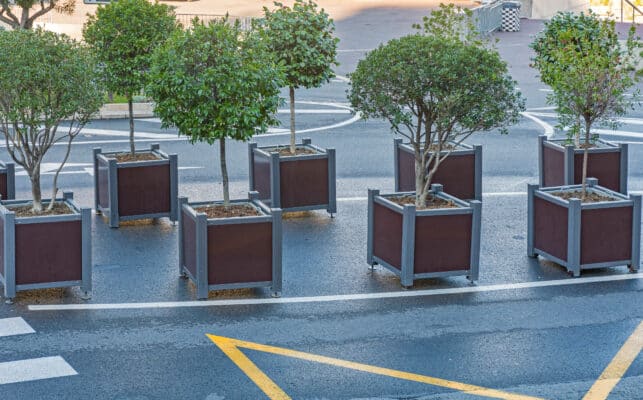 Challenges for Trees in Tree Boxes | GreenMax Groenoplossingen