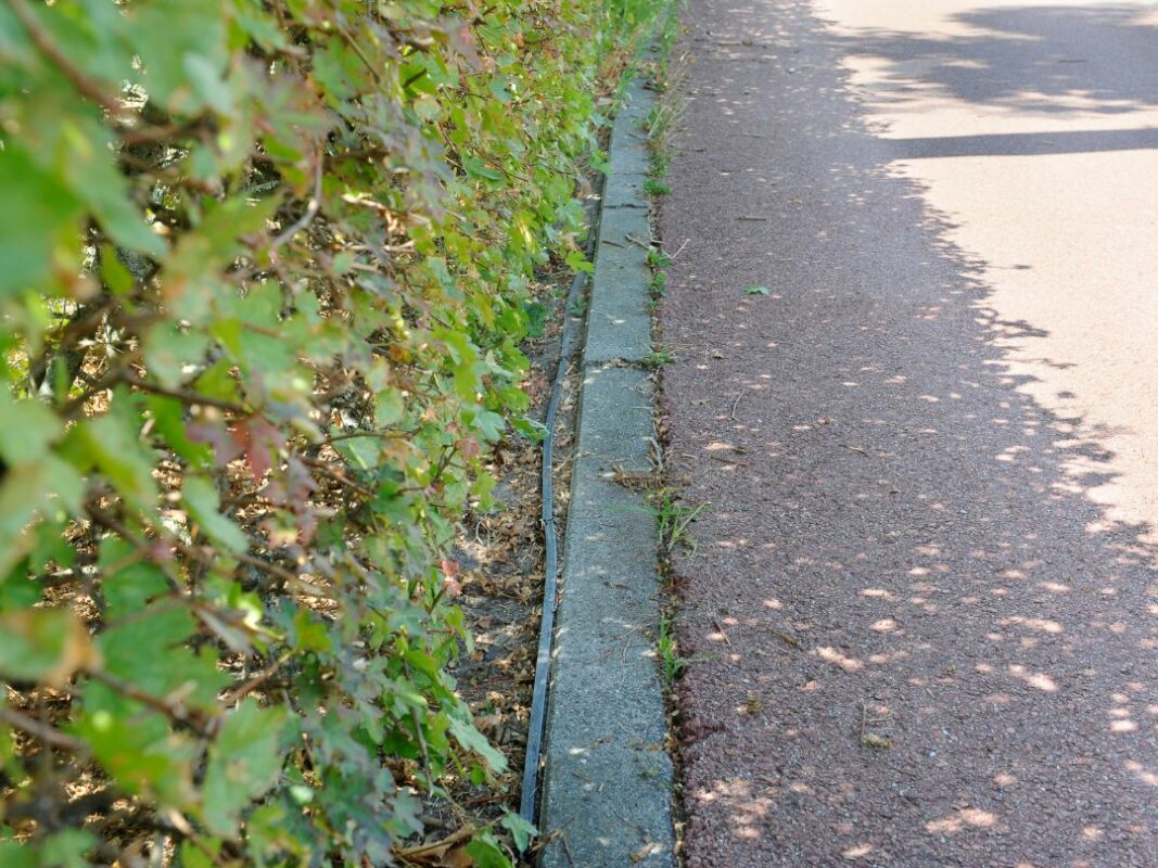 Root protection and guidance | GreenMax green solutions