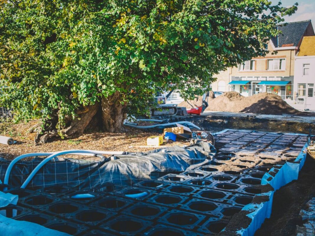 Tree Pit Design | GreenMax solutions