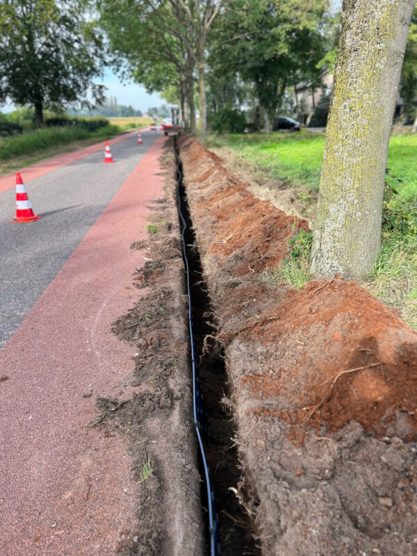 Tree Root Guide | Greenmax groenoplossingen