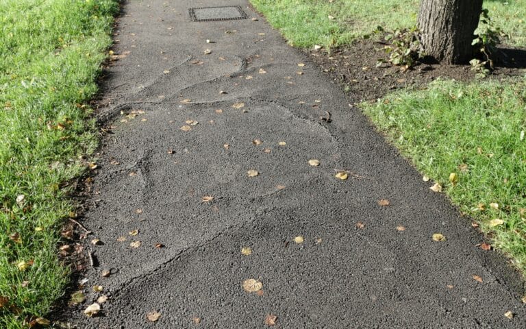 What is Root Heave? | GreenMax Blog